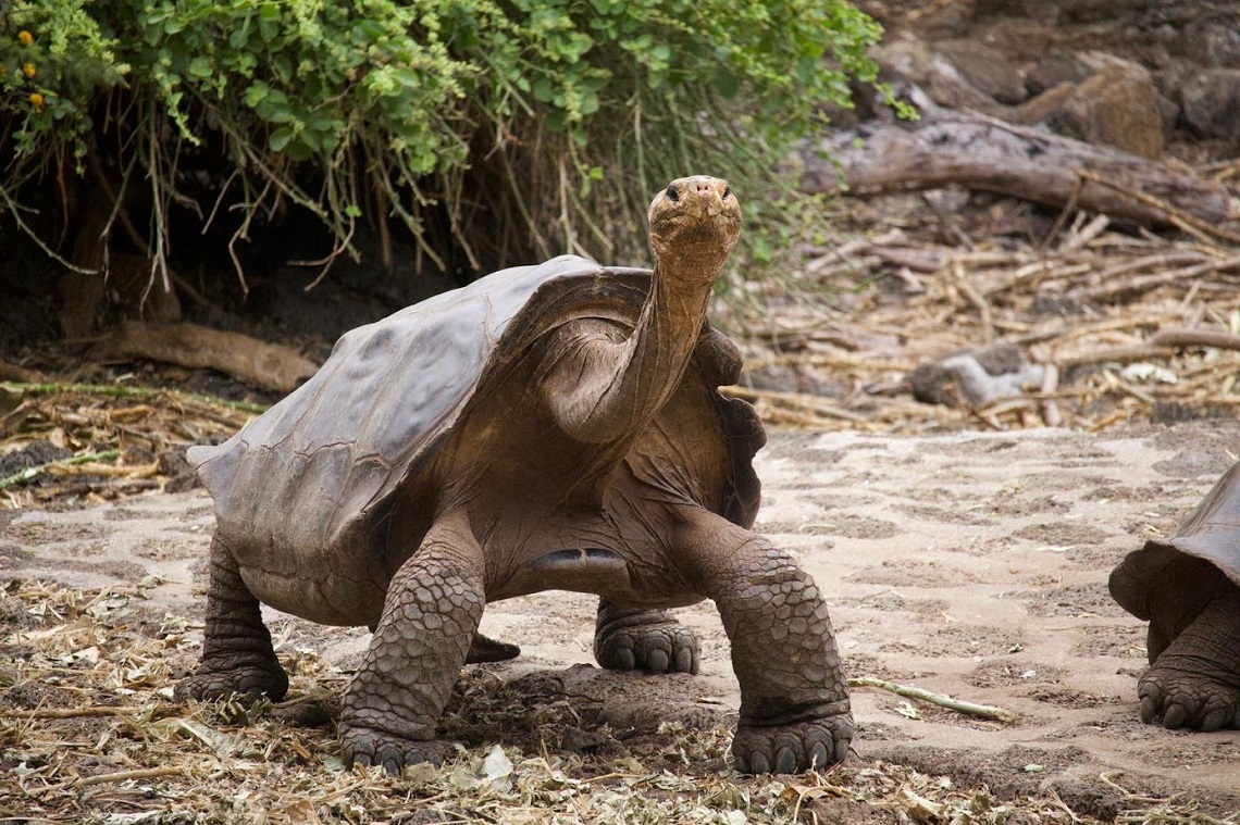 First Class Boat | Travel Ecuador