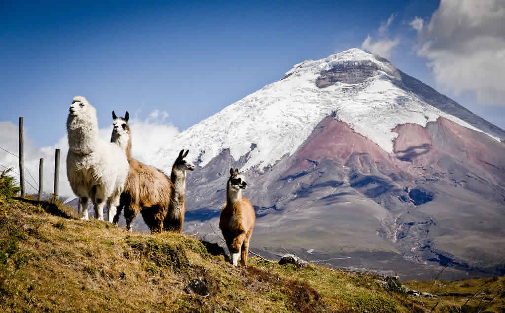 Climb Chimborazo – Closest Point to the Sun & Ecuador’s Highest Peak ...